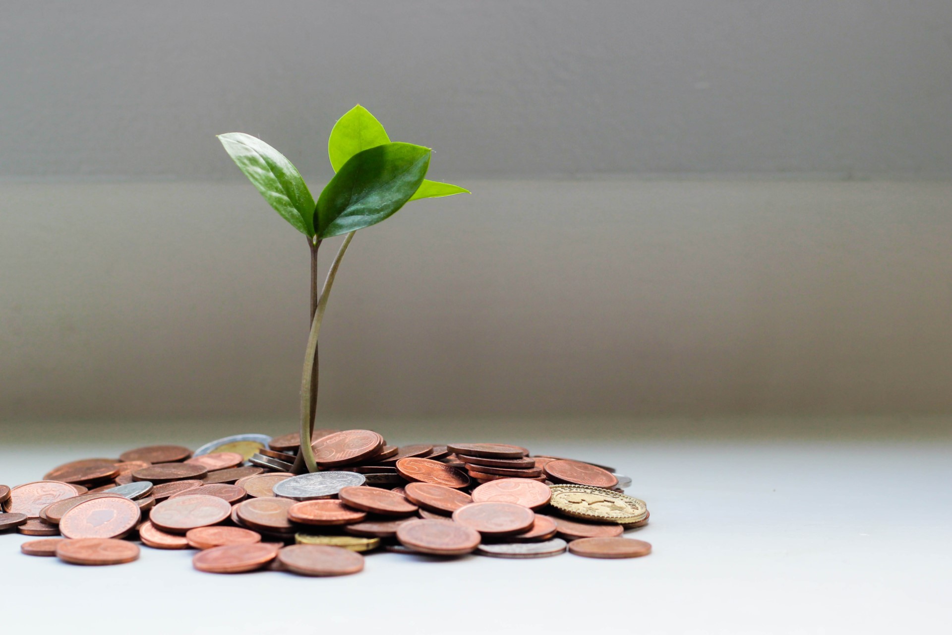 Home page | Comune di Temù