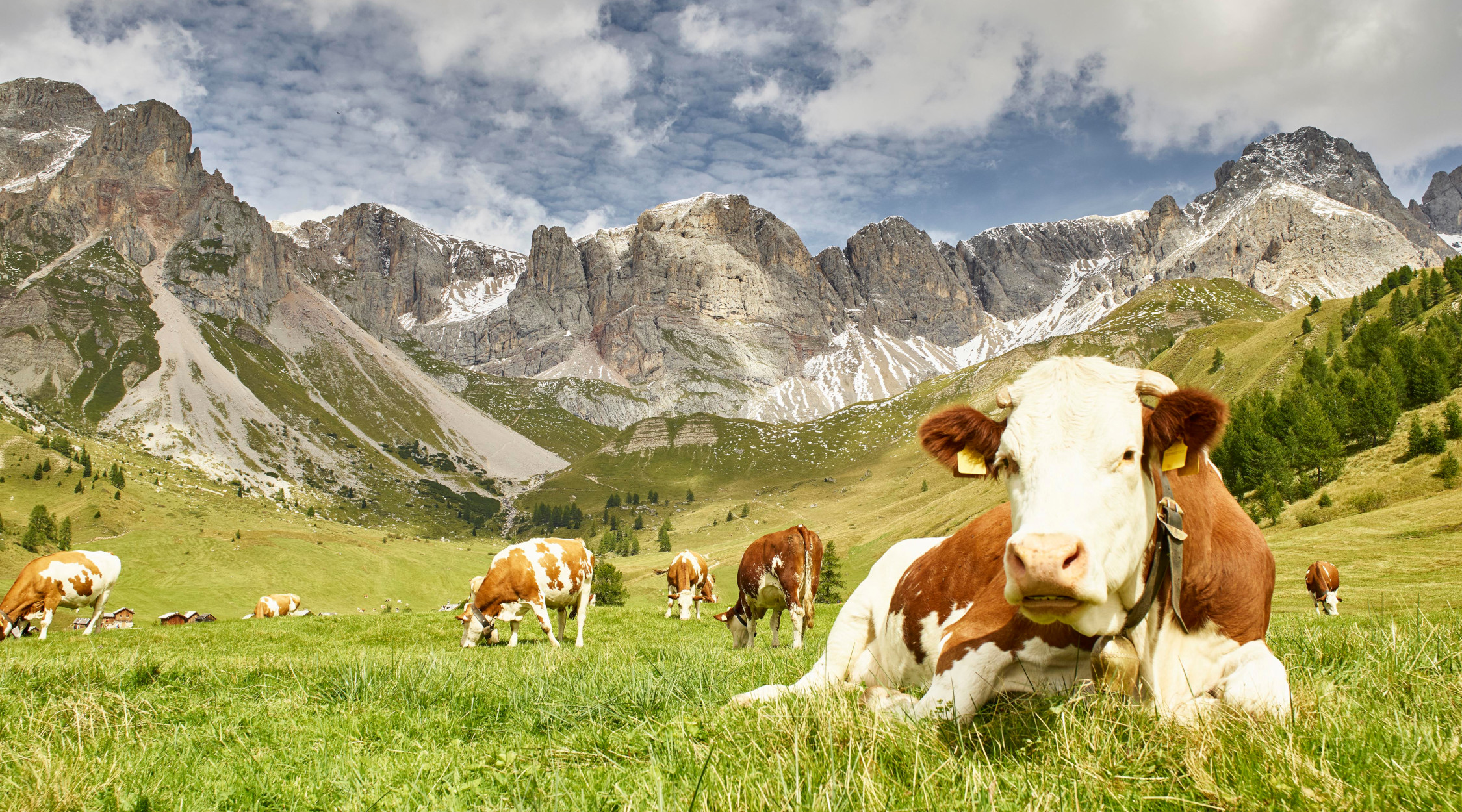 Home page | Comune di Temù